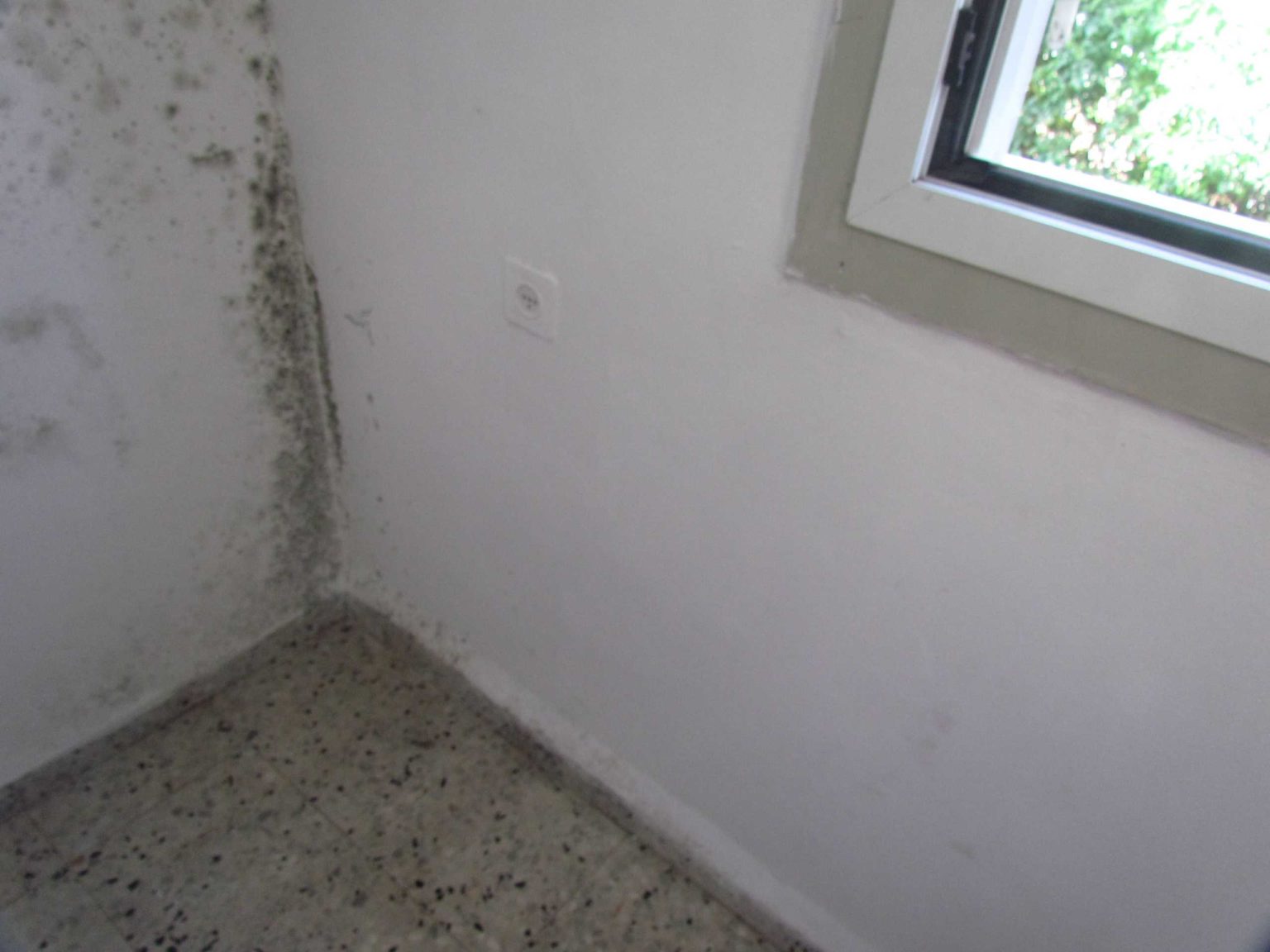 How to finish a basement - Step by step guide | Moose Basements